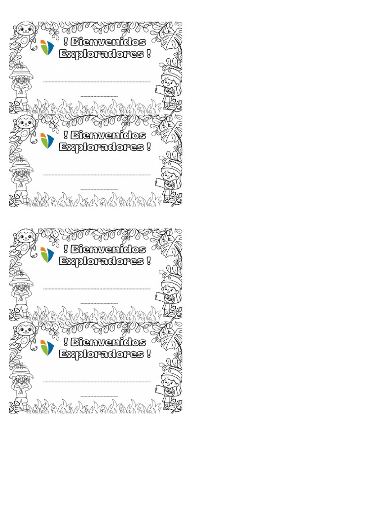 Solapines - 2025 | PDF