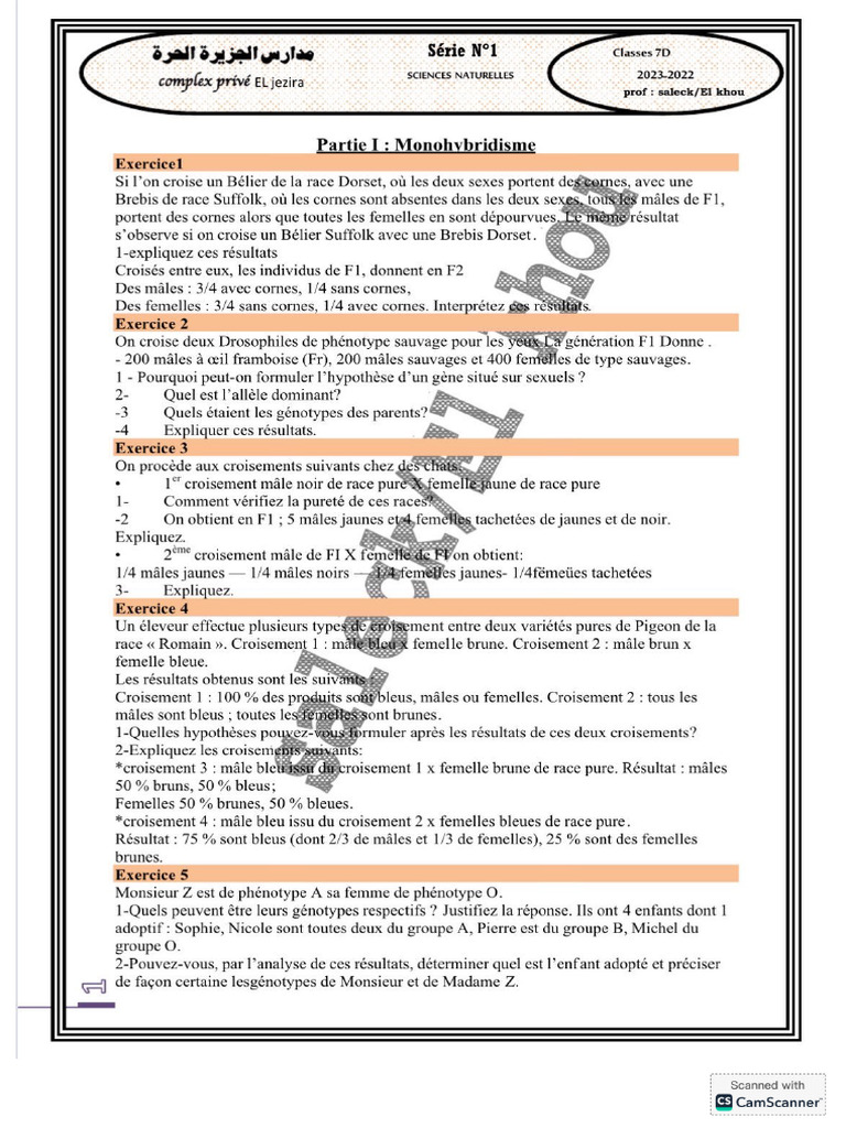 Génétique formelle 1234 | PDF