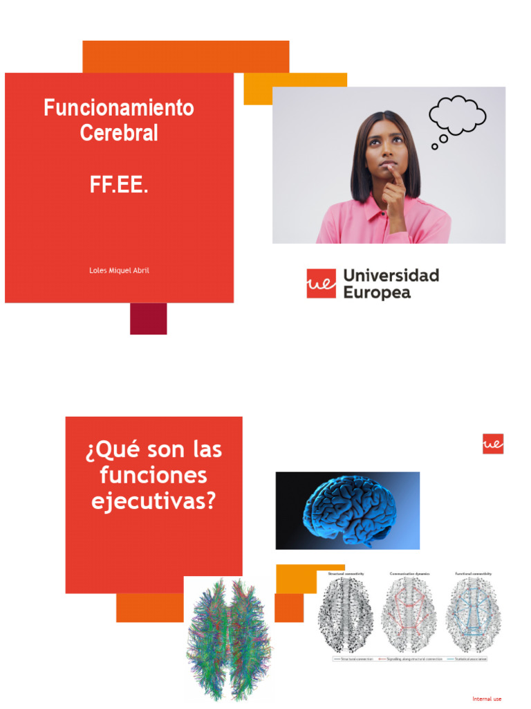 Funciones Ejecutivas | PDF | Memoria | Funciones ejecutivas