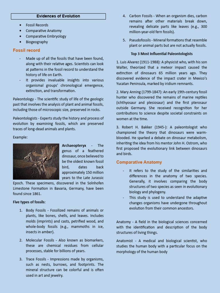 Evidences of Evolution-Handout | PDF | Fossil | Paleontology