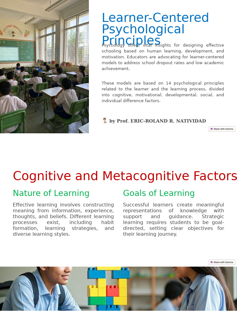 Learner-Centered Psychological Principles | PDF | Learning | Motivational