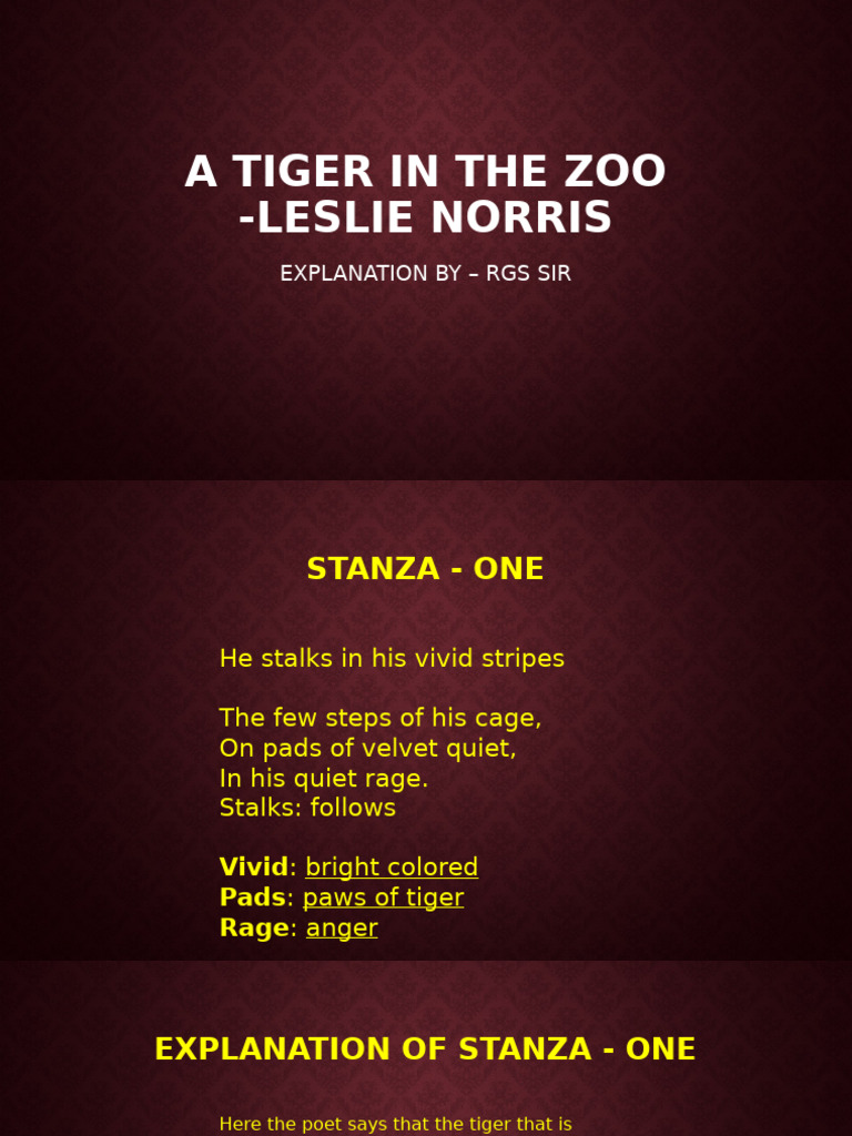 A Tiger in the Zoo Ppt | PDF | Rhyme | Poetic Devices