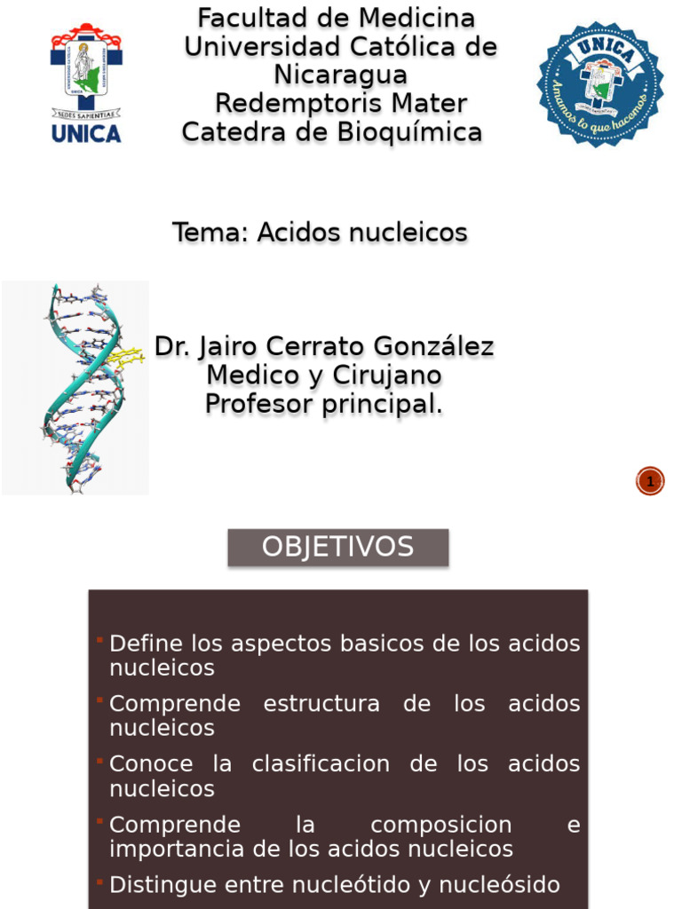 Acidos Nucleicos | PDF | Rna | Nucleótidos