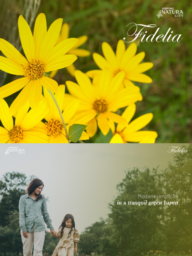 Fidelia Ebrochure Juni2024 | PDF