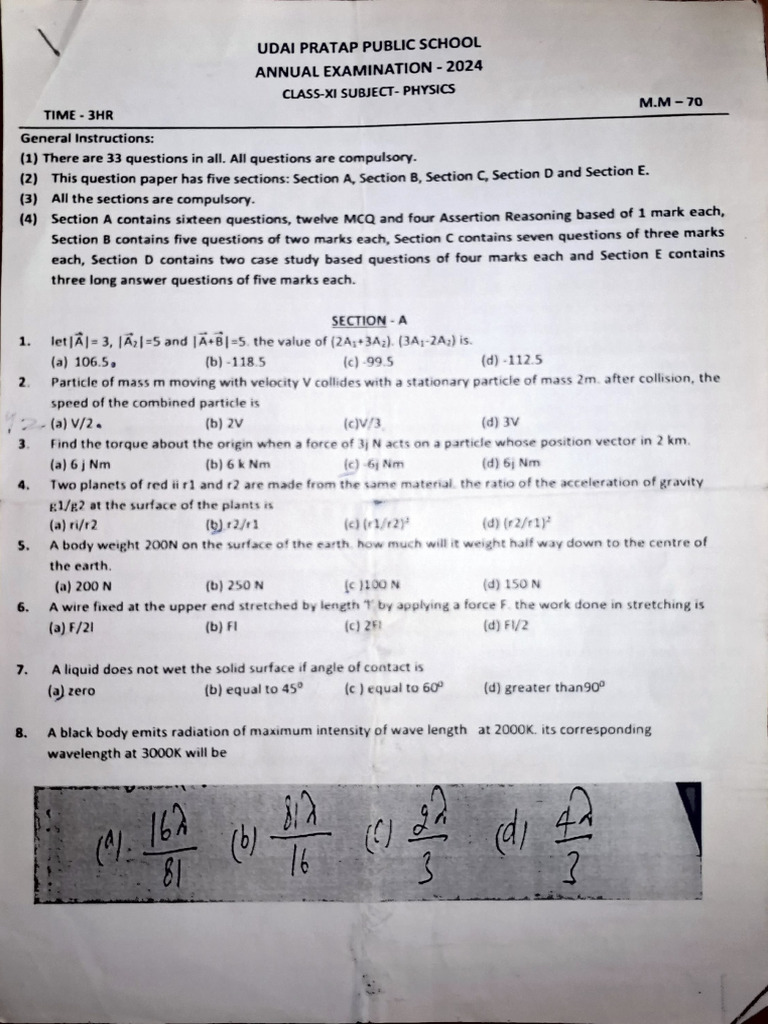 Class 11 Annual Paper | PDF