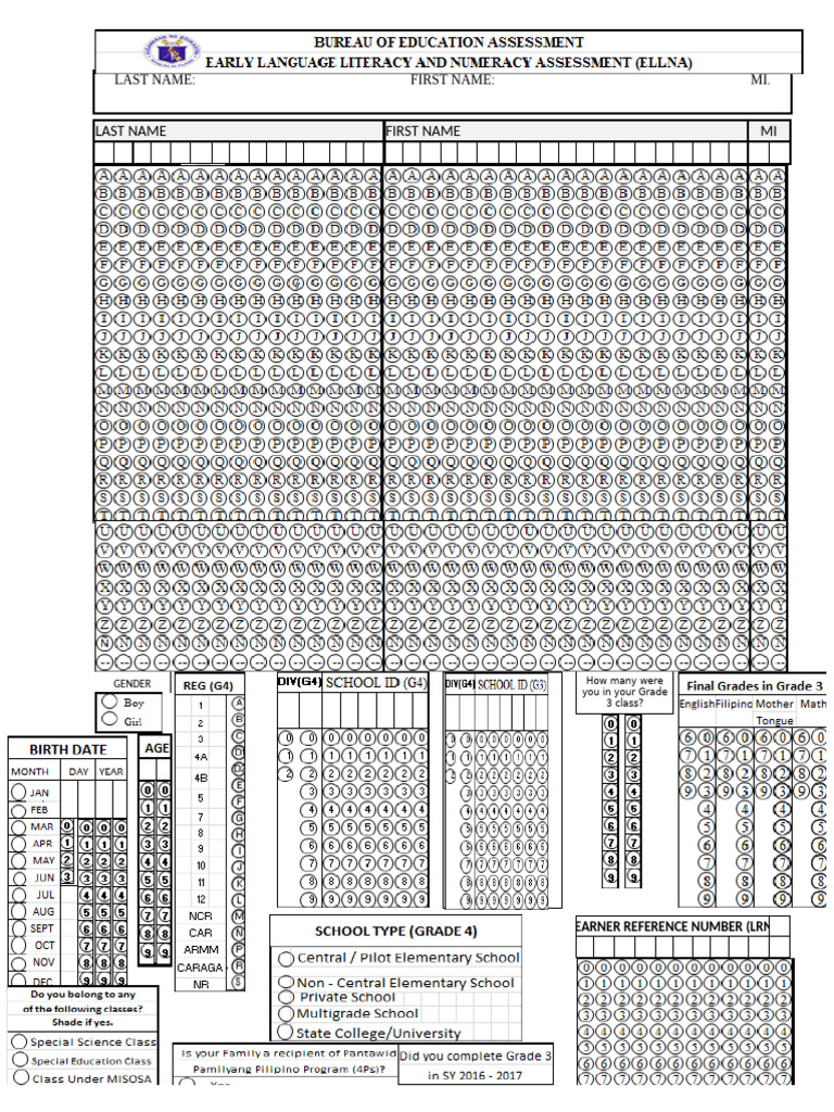 Grade 3 Class Information Form | PDF