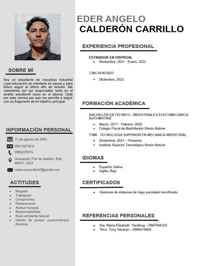 Perfil Profesional de Eder Calderón | PDF