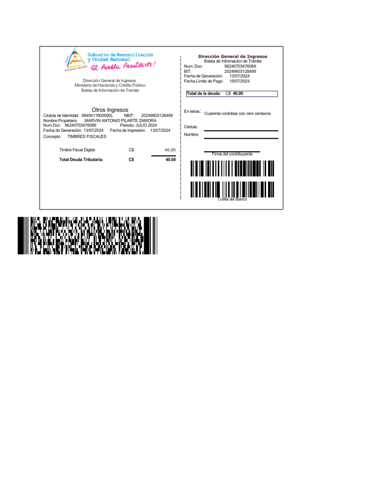 CERTIFICADO DGI - Developer - Juan Claudio Centeno | PDF