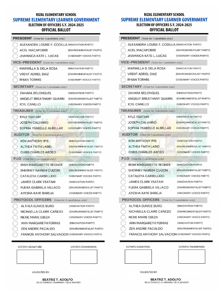 Sample OFFICIAL BALLOT For SELG Election | PDF