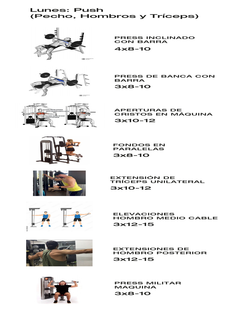 Rutina PPL Yayo | PDF | Entrenamiento con pesas | Sistema musculoesquelético