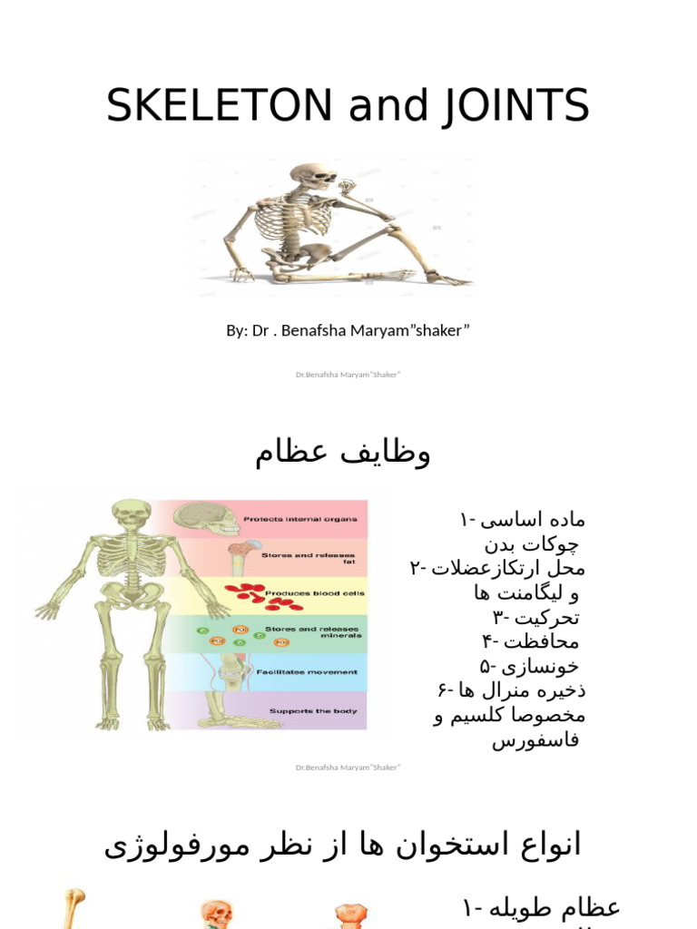 Skeleton and Joints | PDF