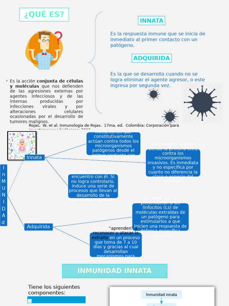 INMUNIDAD | PDF | Sistema inmune | Linfocitos