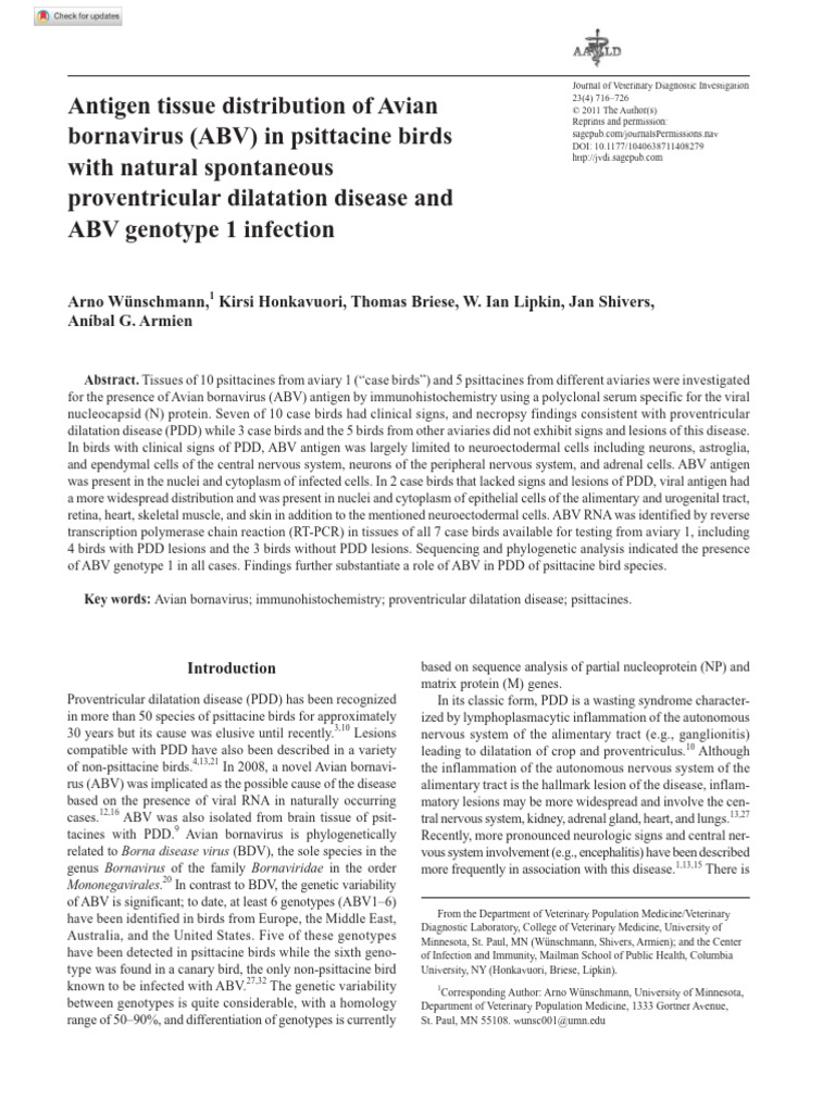 Antigen Tissue Distribution of Avian Bornavirus (ABV) in Psittacine ...