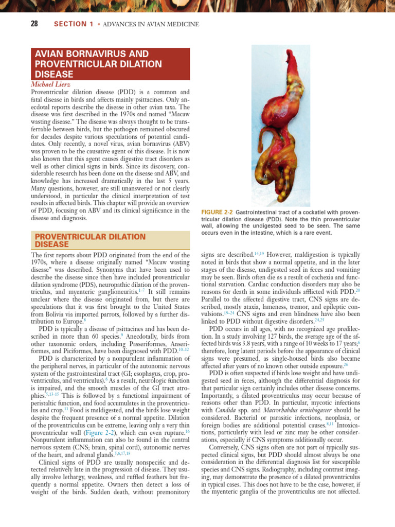 Avian Bornavirus and PDD 2016 | PDF | Infection | Virus