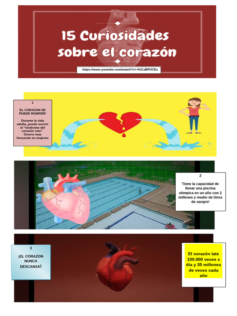 El Corazon | PDF | Corazón | Especialidades Medicas