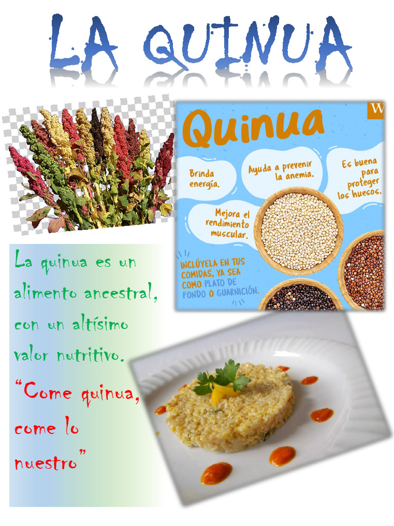 Beneficios de la quinua ancestral | PDF