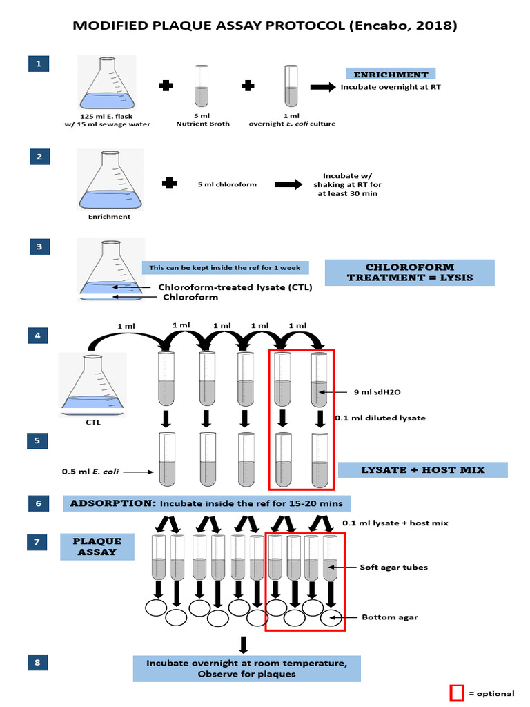 01 Modified Plaque Assay Protocol | PDF