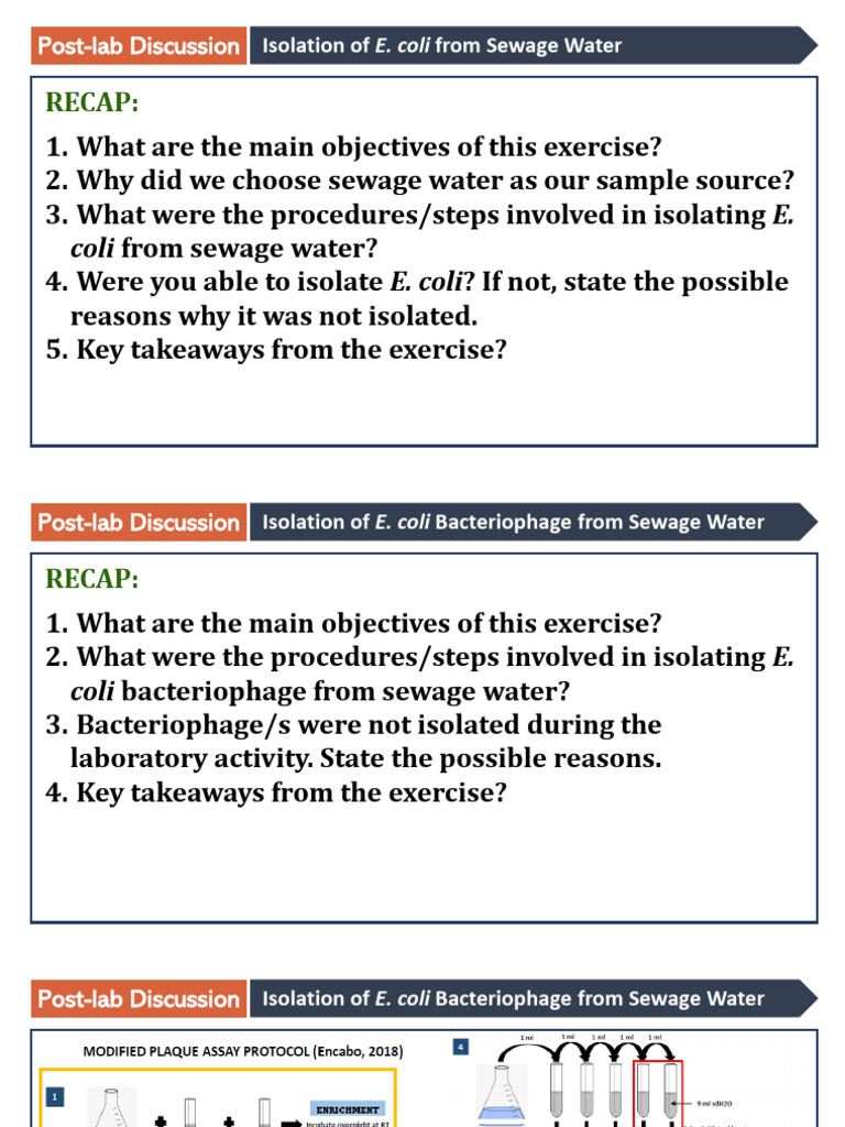 02 Plaque Assay Post Lab | PDF | Bacteriophage | Microorganism