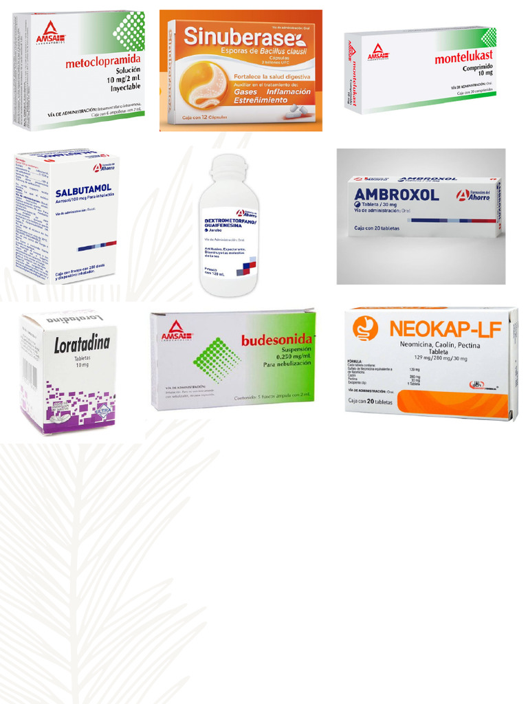 Fichas - 20241007 - 002007 - 0000 | PDF