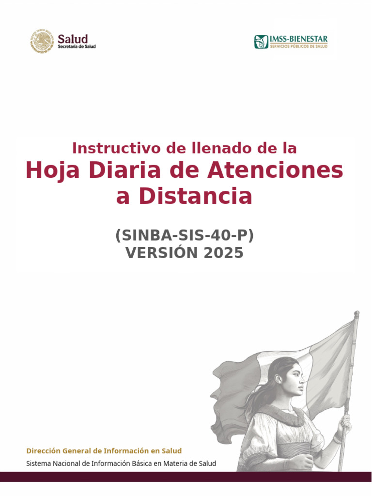 Instructivo SINBA 2.4: Llenado Hoja Diaria | PDF | Cuidado de la salud | Medicina