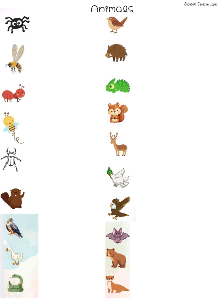 Animals_20250211_103344_0000 | PDF