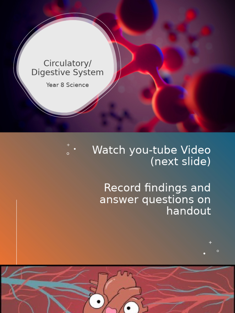 8 Circulatory Digestive System | PDF