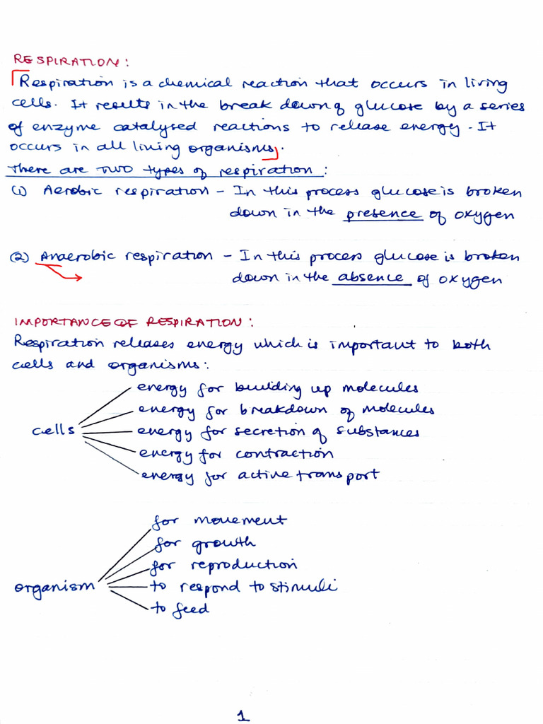 CSEC BIOLOGY Respiration | PDF | Adenosine Triphosphate | Cellular ...