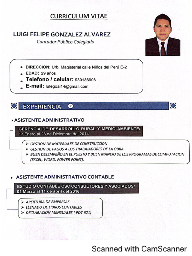 CV Documentado Luigi González Álvarez | PDF