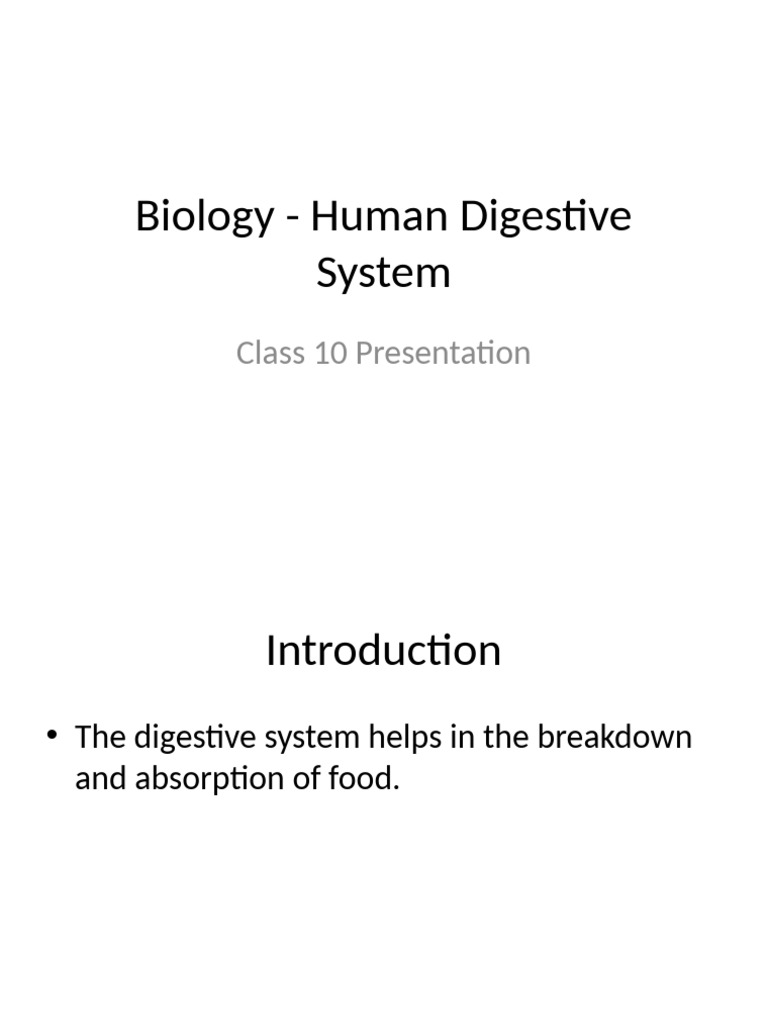 Biology_Human_Digestive_System_Presentation | PDF