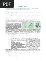 Long Lot Survey System in Geography | PDF