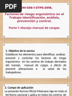 Norma Oficial Mexicana Nom-036-1-Stps-2018 | PDF | Factores humanos y ...