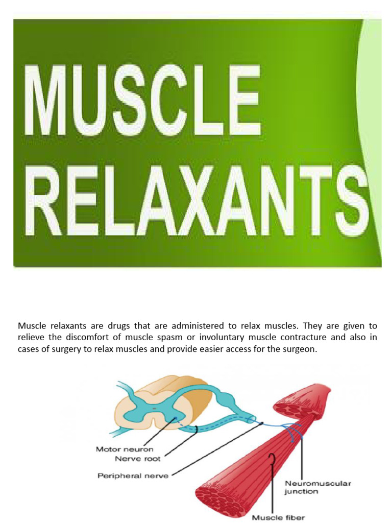 Muscle Relaxants | PDF | Acetylcholine | Drugs Acting On The Nervous System