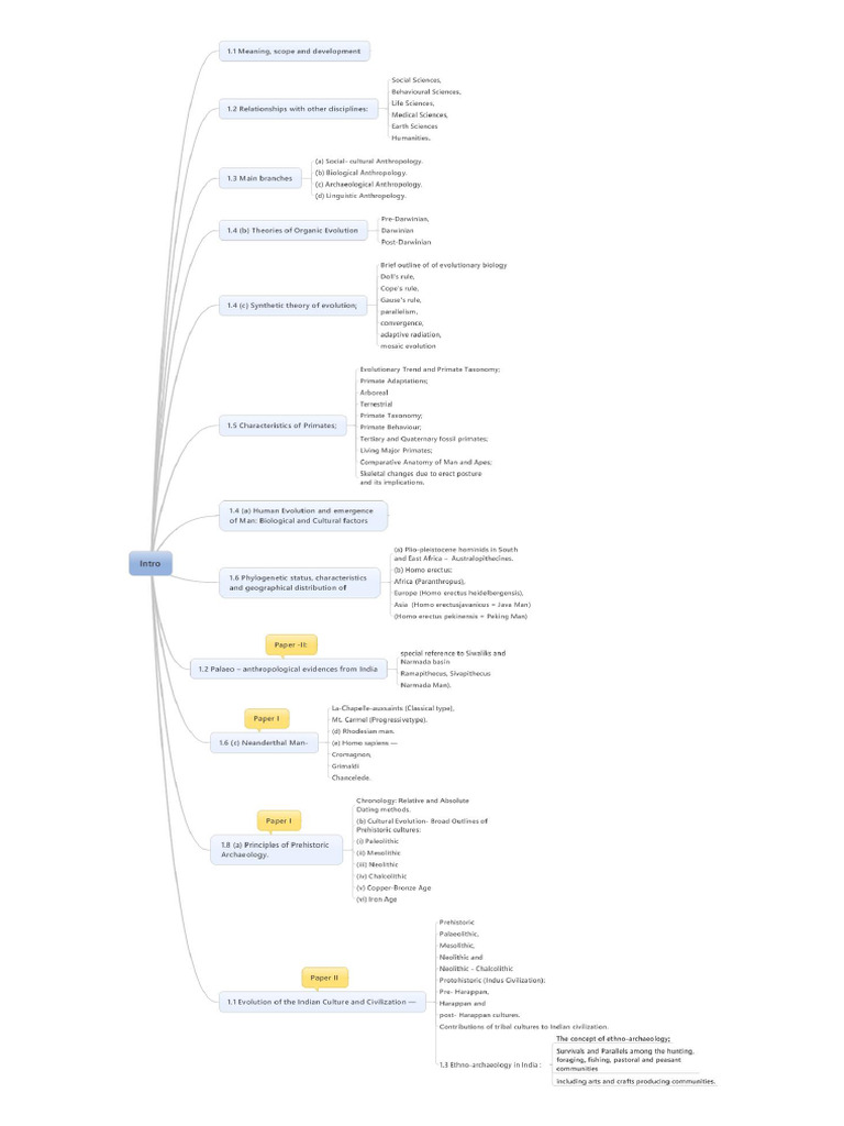 Anthro Syllanus Chart | PDF