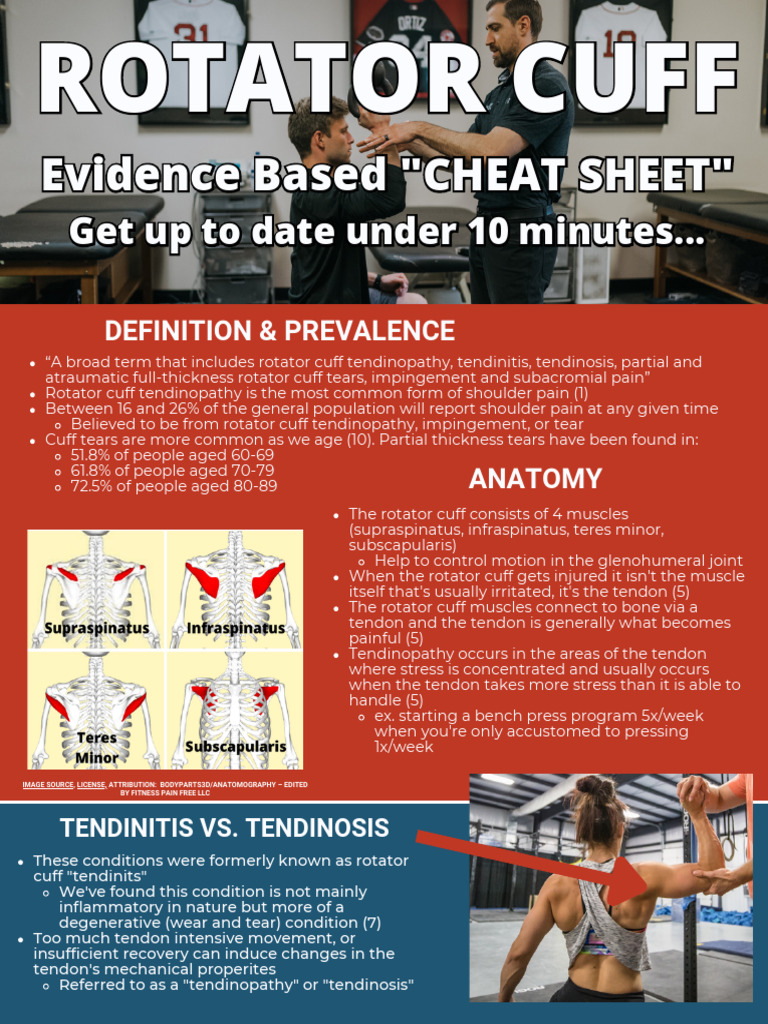 Rotator Cuff Tendinopathy and Tear Cheat Sheet 2024 Update PDF | PDF ...