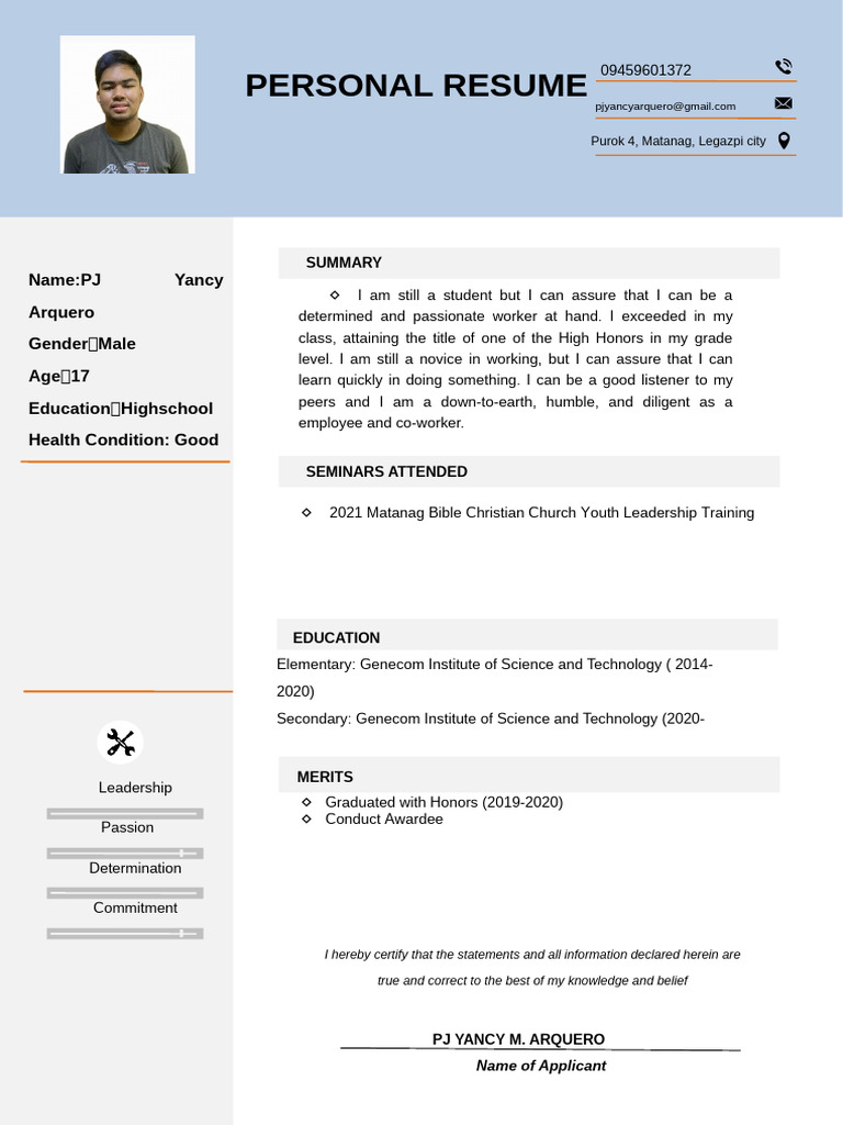 Resumee Ni Gang | PDF