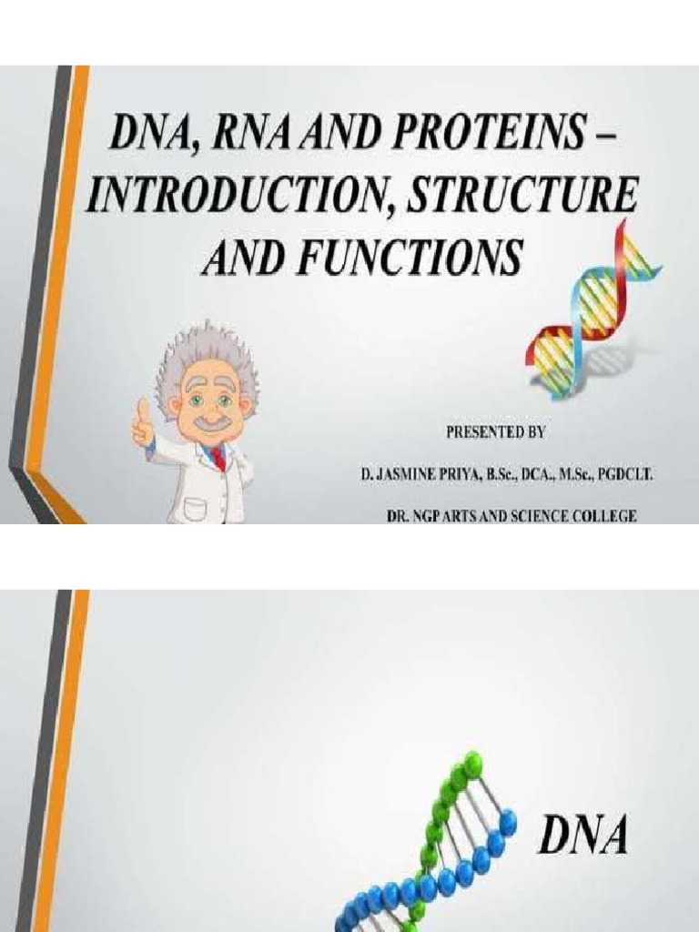 Dna Rna and Proteins Intro - Structure and Functions | PDF