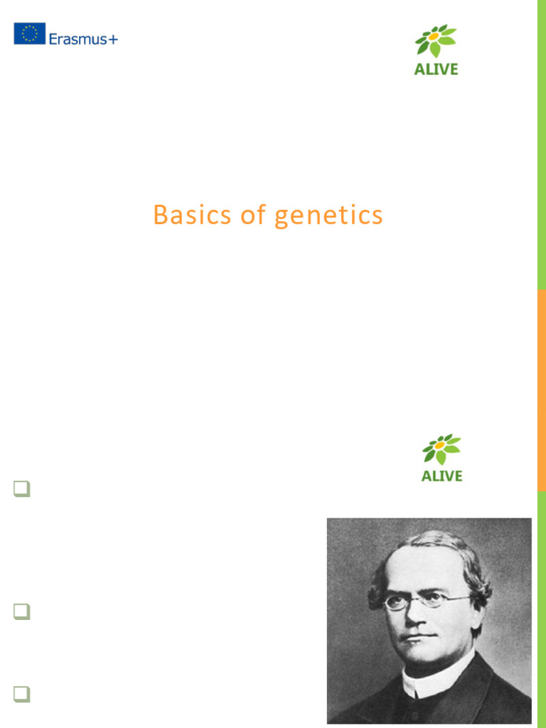 EN - 2 - 3 - Basics of Genetics | PDF | Dominance (Genetics) | Allele