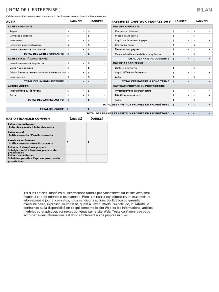 Bilan financier et ratios d'endettement | PDF | Capitaux propres ...