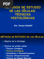 Puntos Craneomátricos | PDF | Cráneo | Morfología (biología)
