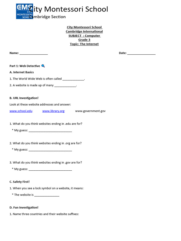 Internet Basics for Grade 3 Students | PDF