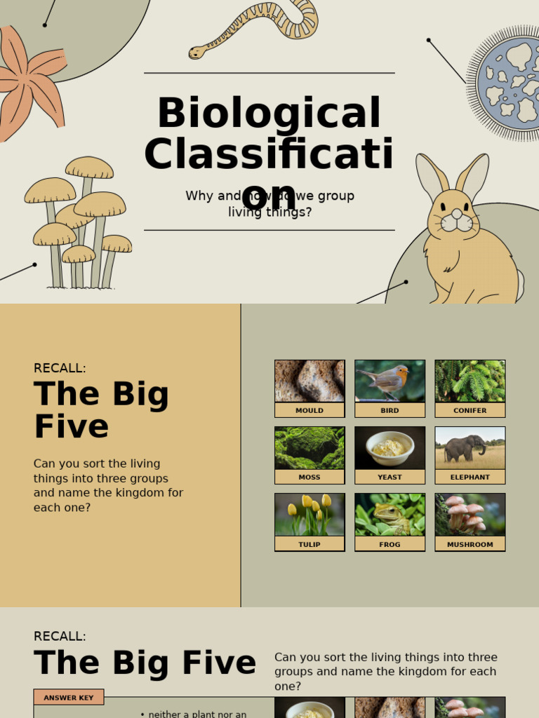 Biological Classfication | PDF | Life | Mammals