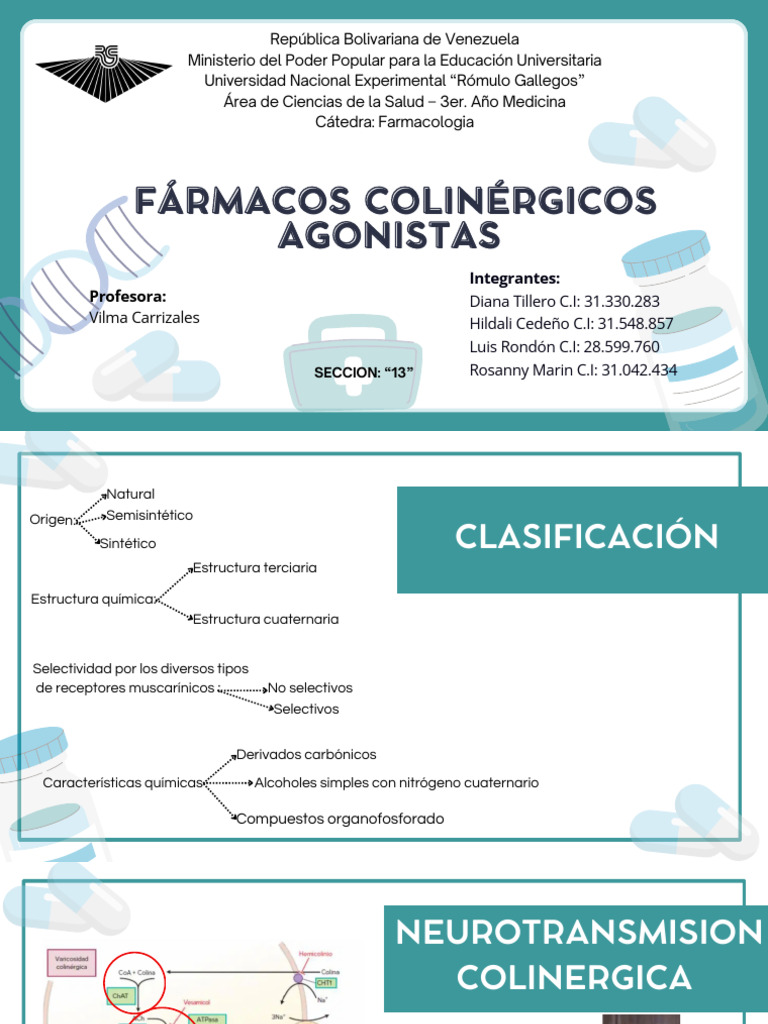 Fármacos Colinérgicos: Clasificación y Uso | PDF | Acetilcolina ...
