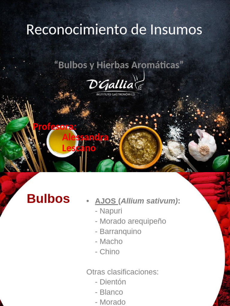 Bulbos | PDF | Ajo | Cebolla
