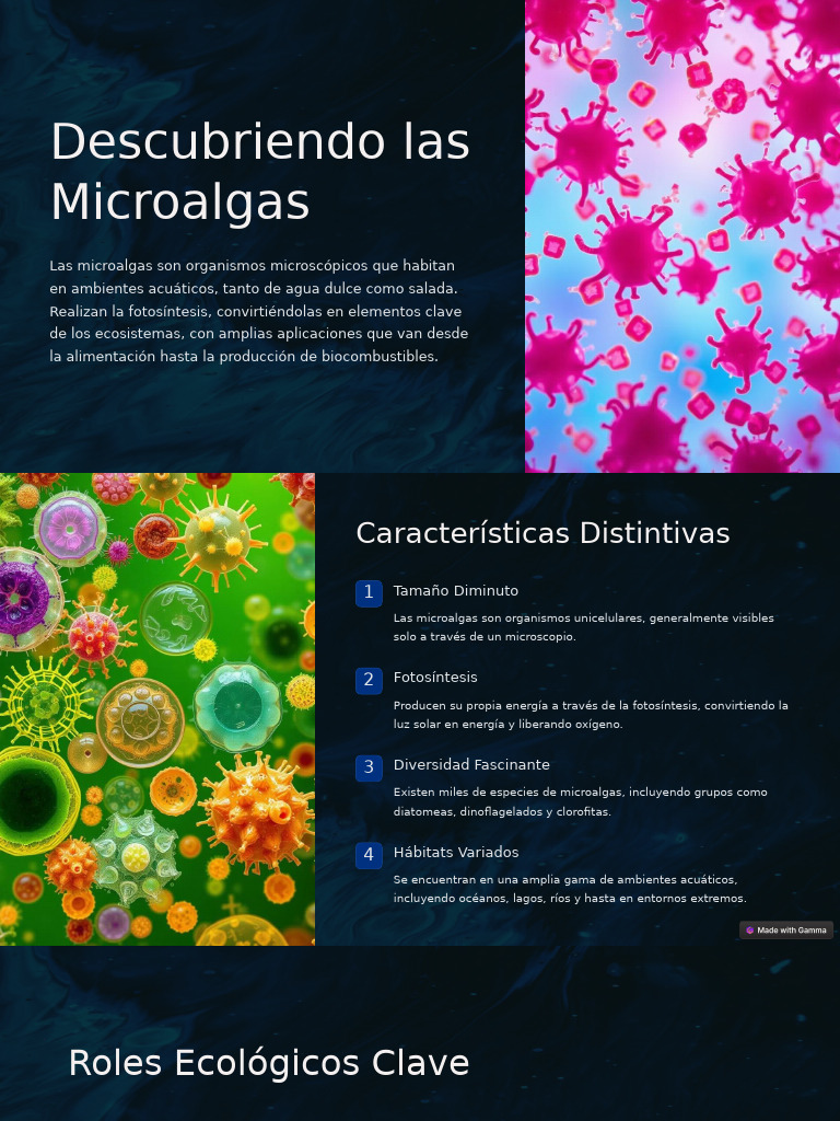 Descubriendo Las Microalgas | PDF | Biocombustible | Agua