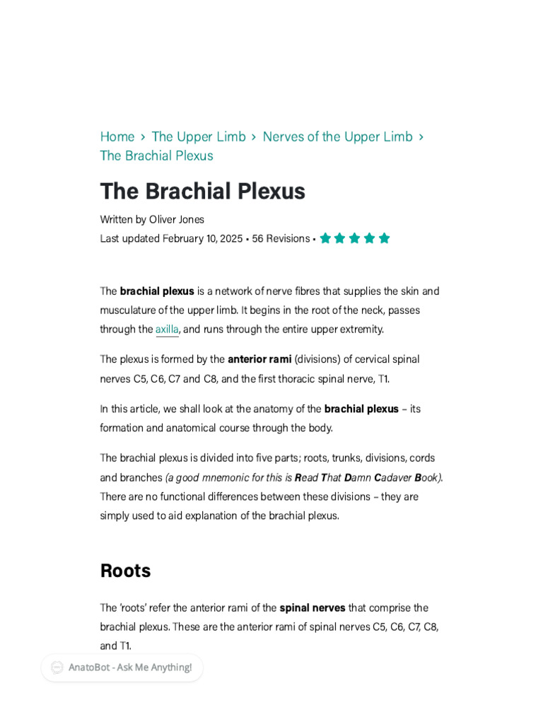 The Brachial Plexus - Sections - Branches - TeachMeAnatomy | PDF | Arm ...