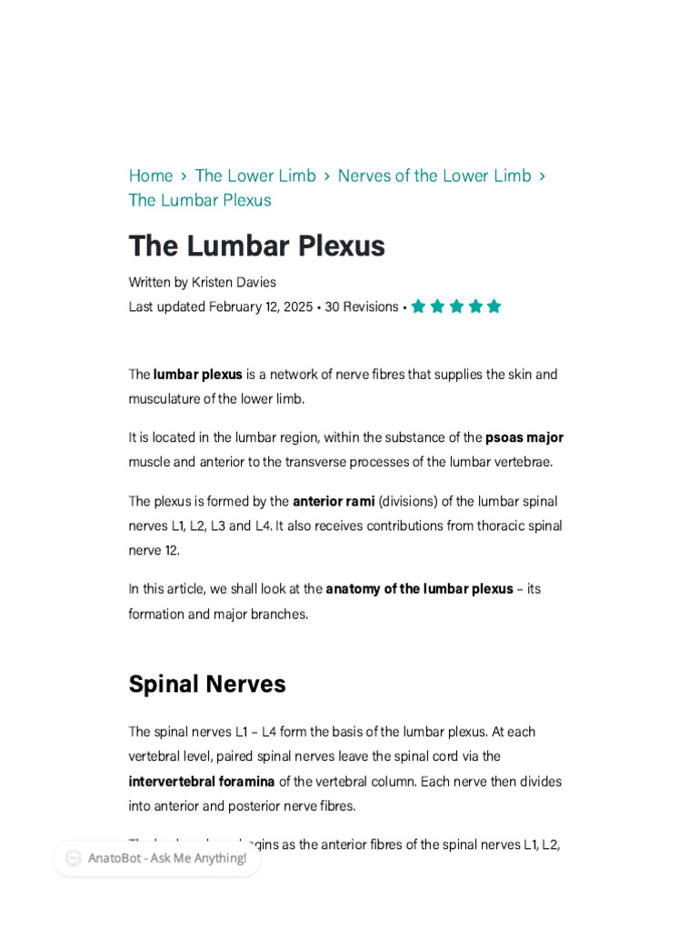 Anatomy of the Lumbar Plexus | PDF | Vertebral Column | Human Anatomy