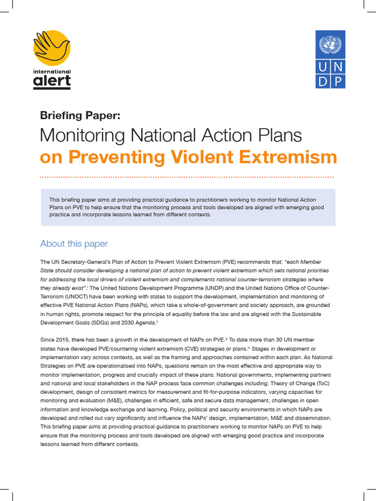 UNDP - Briefing Paper | PDF | Risk | Violence