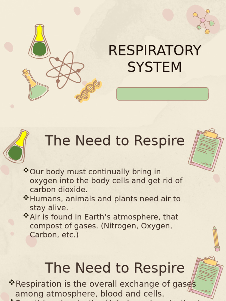 Respiratory&Circulatory System | PDF | Lung | Artery