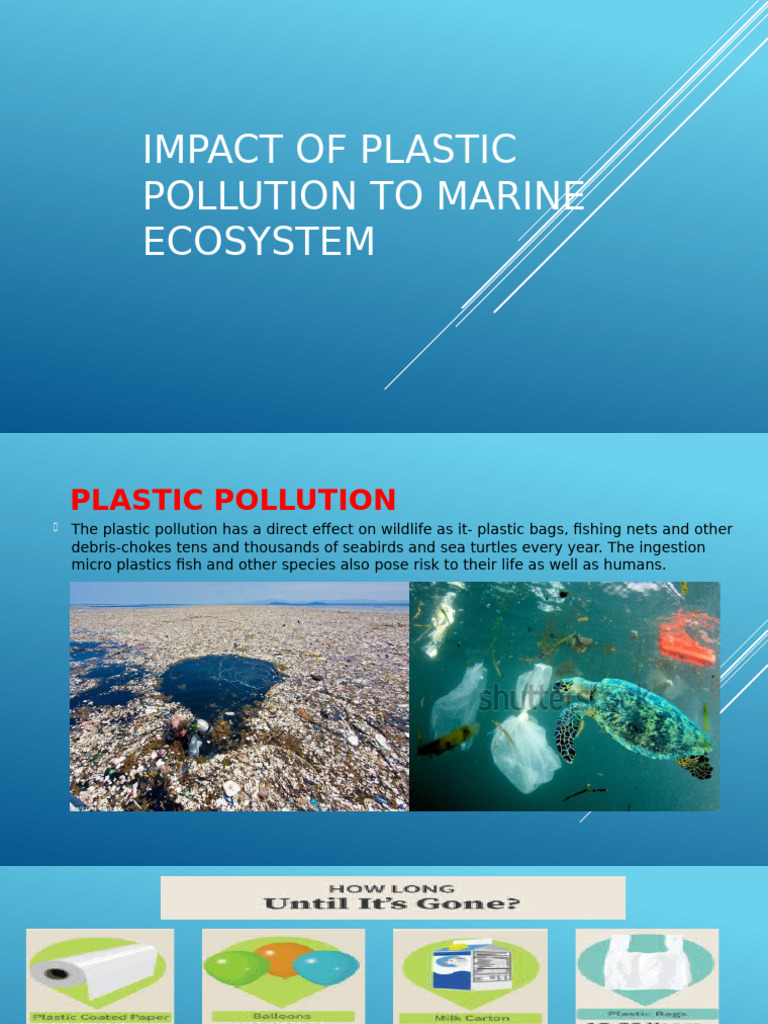 Plastic Pollution | PDF