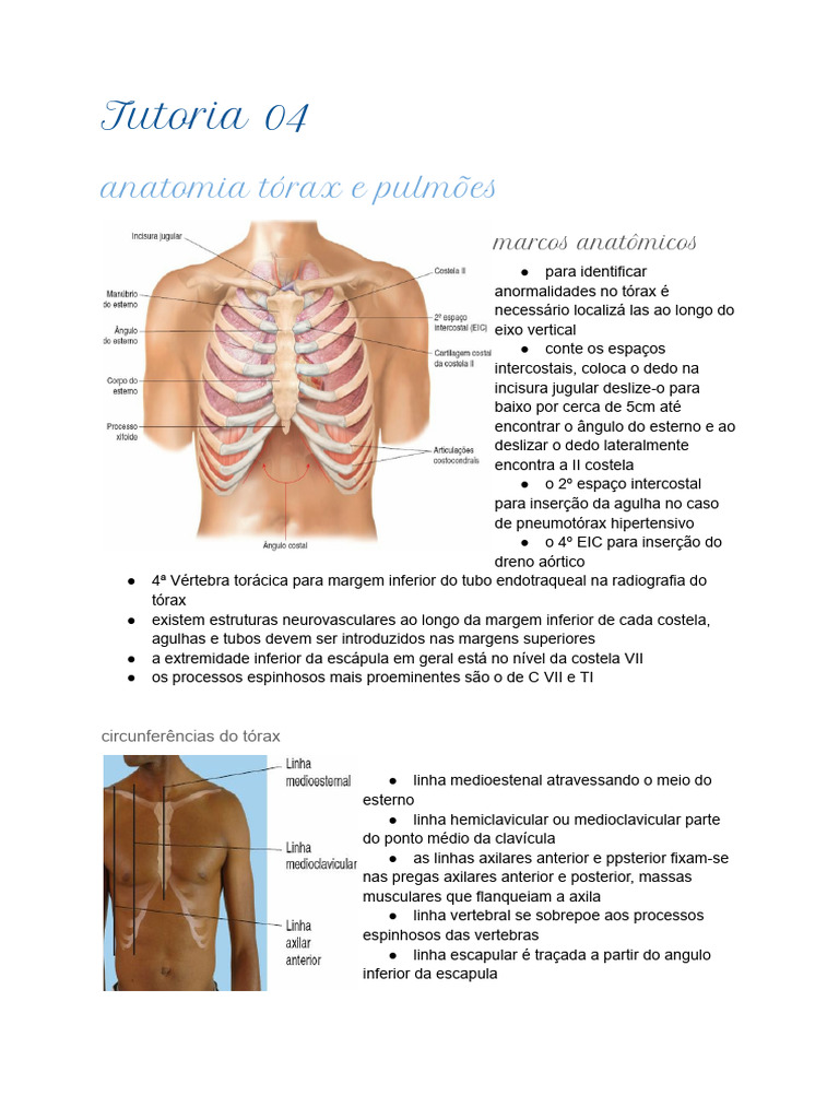 Semiologia do Tórax e Pulmões | PDF | Pulmão | Respiração